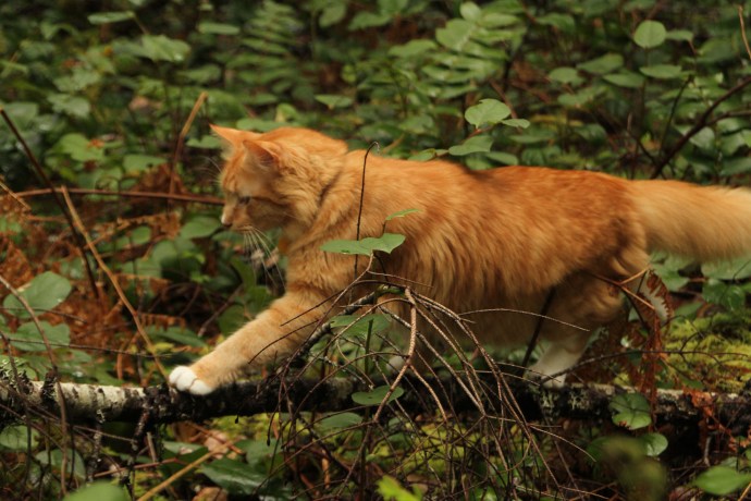 Books by John R. Bruning | The American Warrior