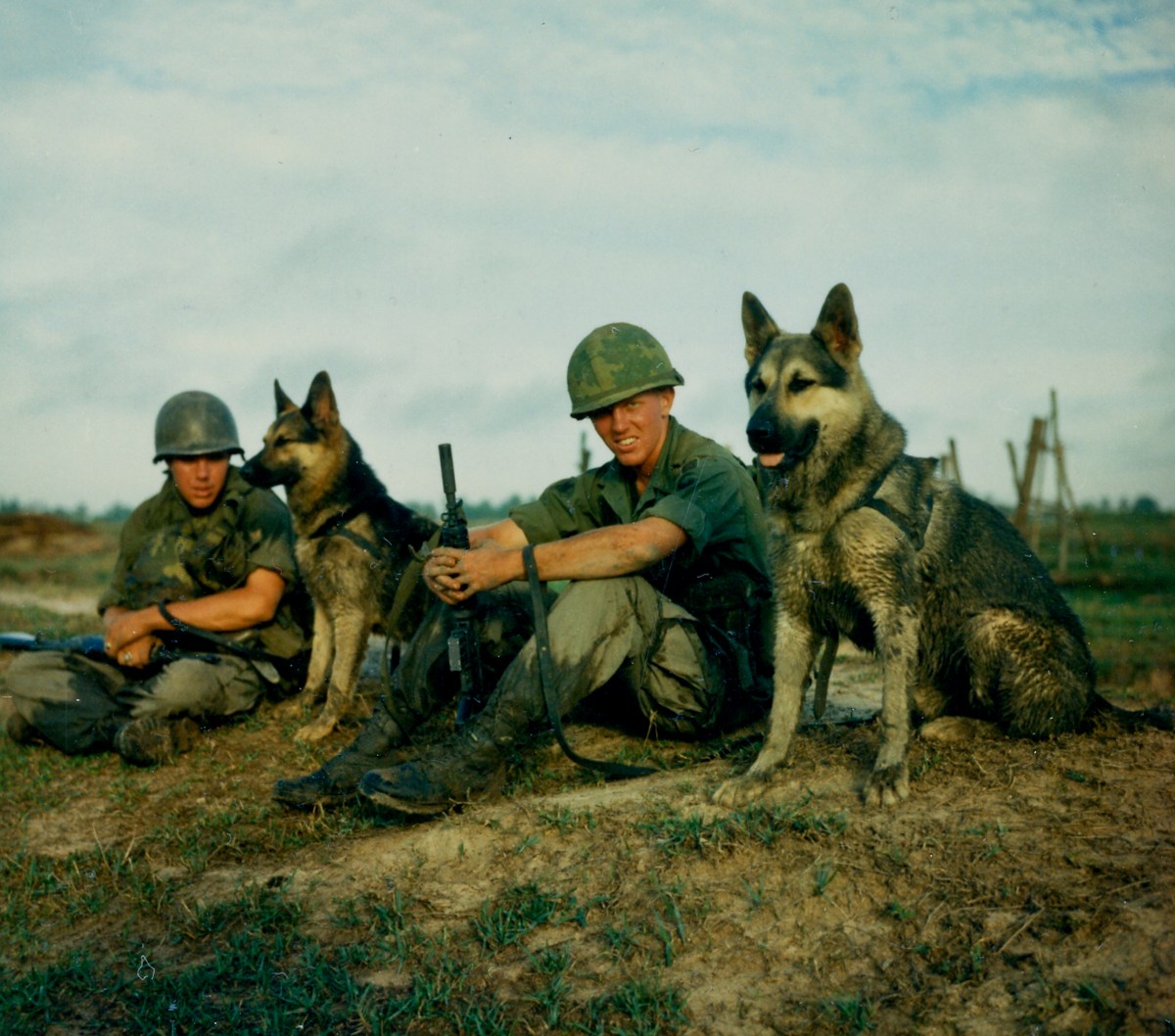 Warrior Animals | The American Warrior