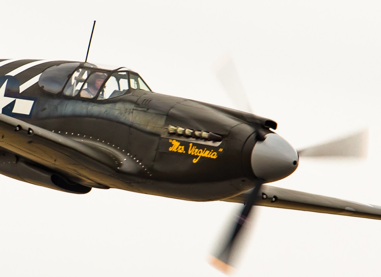 John R Bruning | The American Warrior | Page 5